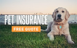 Get Insurance Quotes - Save on Florida Insurance - Most Insurance